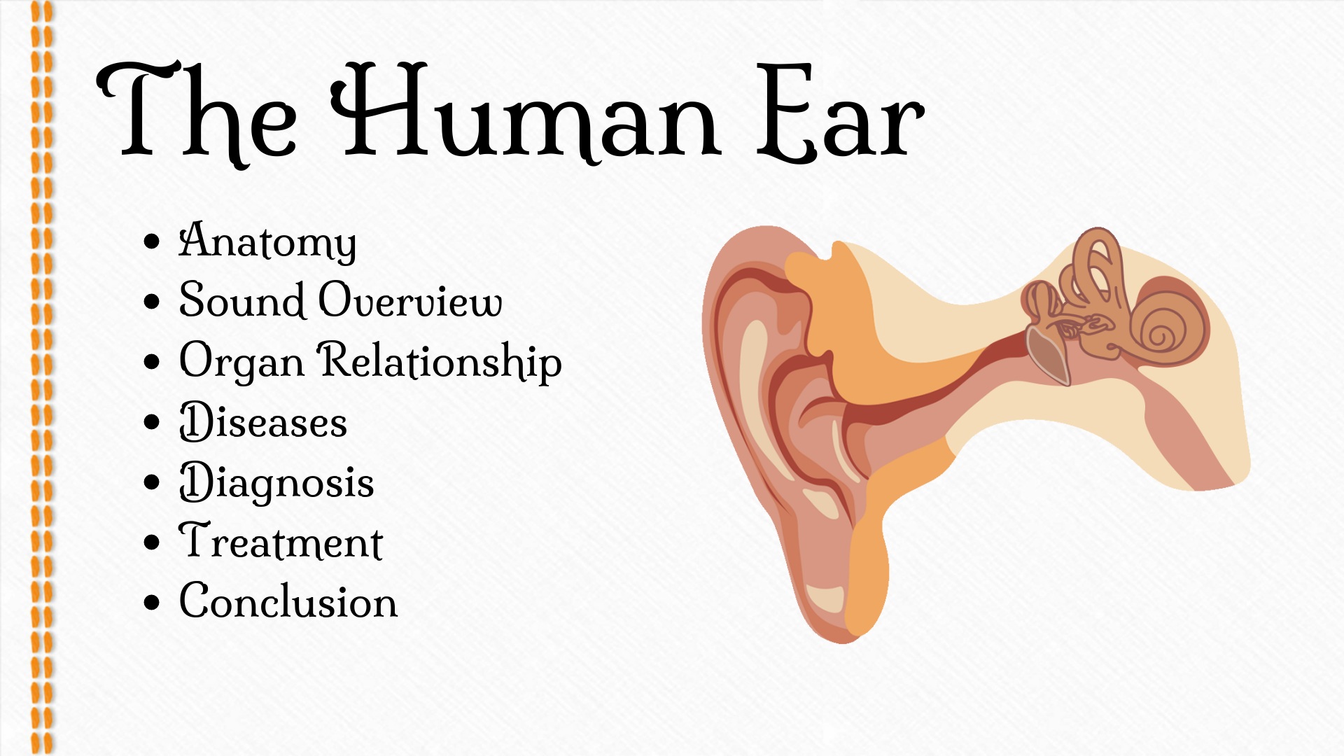 Create - The Human Ear